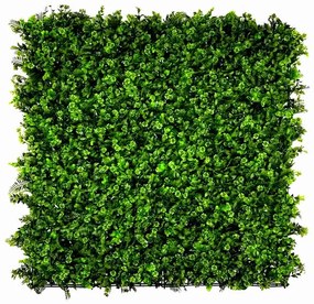MINI WALL GREEN Fern and clover, dílec 50 x 50 cm