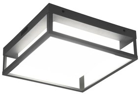LED nástěnné venkovní svítidlo (výška 10 cm) Witham – Trio