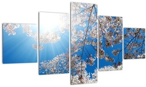 Obraz - Třešňové květy (125x70 cm)