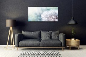 Obraz na skle Pampeliška Rostlina 125x50 cm
