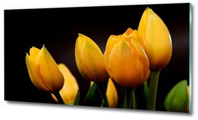 Wallmuralia Foto obraz sklo tvrzené Žluté tulipány 100x50