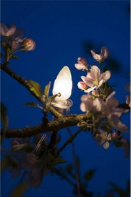 Světelný řetěz Šiška, 20 LED žárovek Filament, čirý kabel, základní