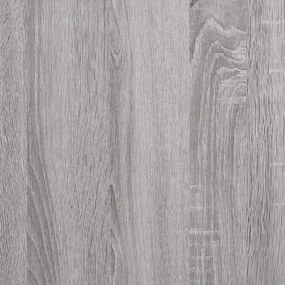 Petromila Nástěnné police 4 ks šedé sonoma 100x50x1,5 cm kompozitní dřevo