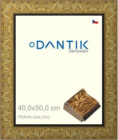 DANTIK rámeček 40x50 | PRAHA zlatá (Sklo Čiré)