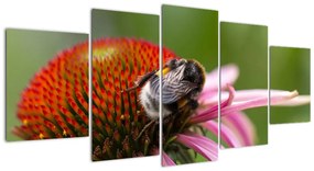 Obraz včely na květu