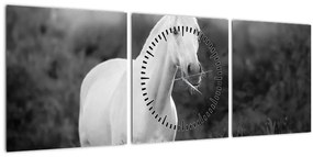 Obraz bílého koně na louce, černobílá (s hodinami) (90x30 cm)