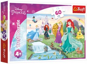 Puzzle Poznejte princezny 33x22cm 60 dílků v krabičce 21x14x4cm