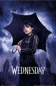 Plakát, Obraz - Wednesday - Umbrella