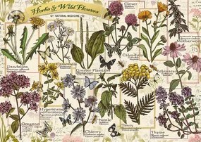 Trefl - Puzzle - Herbarium: Léčivé byliny / 500 dílků / 48 x 34 cm / v