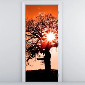 Fototapeta na dveře - Dub při západu slunce (95x205cm)