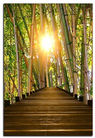 Obraz na plátně - Dřevěná promenáda v bambusovém lese - obdélník 7172A (75x50 cm)