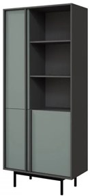 Regál Wektus 3D WK02, Barva: antracit / aloe