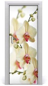 Samolepící fototapeta na dveře Orchidej 75x205 cm