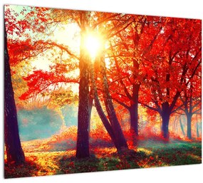 Obraz - Podzimní krajina (70x50 cm)
