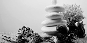 Obraz Zen kameny s mušlemi v čiernobílém provedení - 120x60 cm