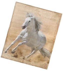 Mikroplyšová deka Kůň Bělouš 130x160 cm