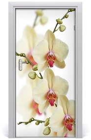 Samolepící fototapeta na dveře Orchidej 85x205 cm