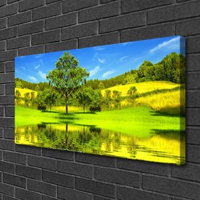 Obraz na plátně Louka Strom Příroda 100x50 cm