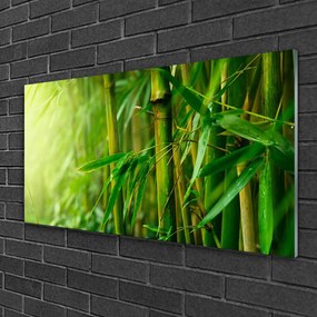 Obraz na skle Bambus Stonky Rostlina 140x70 cm