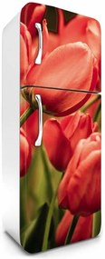 Fototapeta na lednici Red Tulips 65 x 180 cm FR180-012