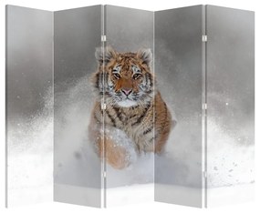 Paraván - Běžící tygr ve sněhu (225 x 180 cm)