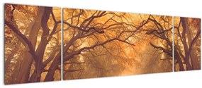 Obraz cesty v podzimní krajině (170x50 cm)
