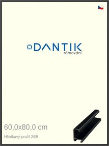 DANTIK rámeček 60x80 | ALU profil 7269 Černá matná (Plexi Čiré)