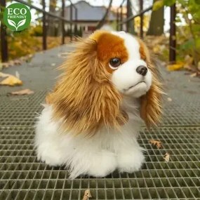 RAPPA Plyšový pes king charles španěl 25 cm / ECO-FRIENDLY / od 0 měsí