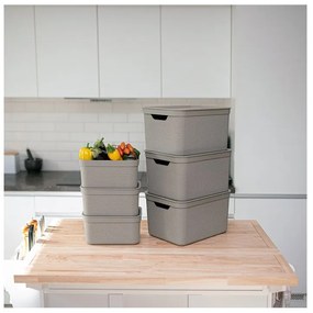 Rotho Úložný dekorativní box s víkem, barva cappuccino, DECO JIVE, 5l