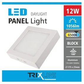 LED Stropní svítidlo LED/12W/230V 6500K