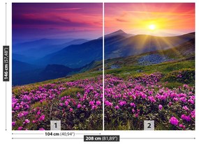 Fototapeta Rhododendron Květiny 104x70