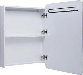 LED koupelnová skříňka se zrcadlem 60 x 11 x 80 cm 285118