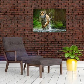 Obraz běžícího tygra (70x50 cm)