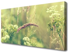 Obraz na plátně Divoké Rostliny Příroda 140x70 cm
