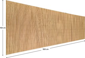 Zahradní zástěna, přírodní, 300x100 cm, ABEO