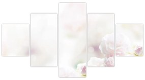 Obraz něžných květů (125x70 cm)