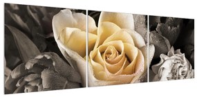 Obraz růže (150x50 cm)