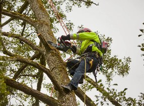 Akumulátorová řetězová pila CRAMER 82TCS15 (Dodáváno bez baterie a nabíječky)