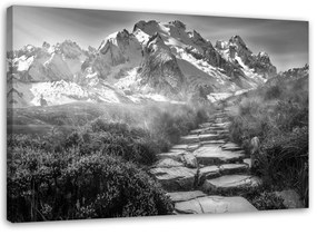 Gario Obraz na plátně Kamenná cesta na vrchol - černobílý Rozměry: 60 x 40 cm