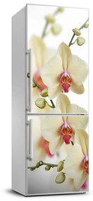 Wallmuralia Nálepka fototapeta lednička Orchidej 60x180 cm