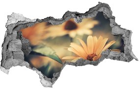 Wallmuralia Samolepící díra na stěnu Jarní květiny 95x73 cm