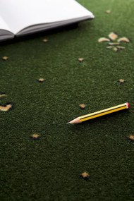 Metrážový koberec Balsan Fleur 222