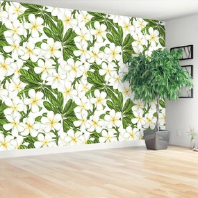 Fototapeta Plumeria Květiny