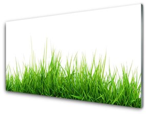 Plexisklo-obraz Tráva Příroda Rostlina 140x70 cm