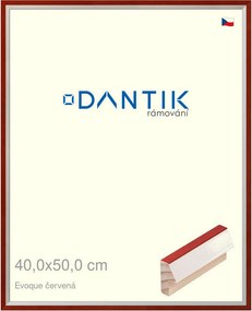 DANTIK rámeček 40x50 | EVOQUE červená (Plexi Čiré)