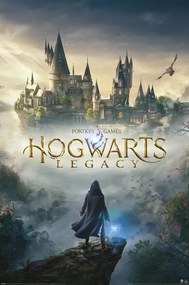 Plakát, Obraz - Harry Potter - Hogwarts Legacy, (61 x 91.5 cm)