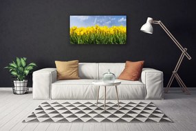 Obraz na plátně Tulipány Květiny Rostlina 100x50 cm