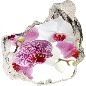 Wallmuralia Fototapeta nálepka na zeď Fototapeta orchidej 75x75 cm