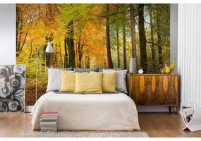DIMEX | Vliesové fototapety na zeď Podzimní les MS-5-0099 | 375 x 250 cm| zelená, oranžová, hnědá