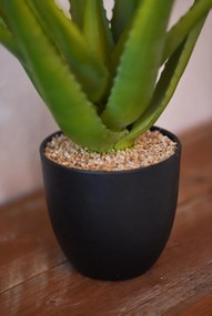 Umělé agáve ASPARA v černém plastovém květináči, výška 45 cm, plast, zelená